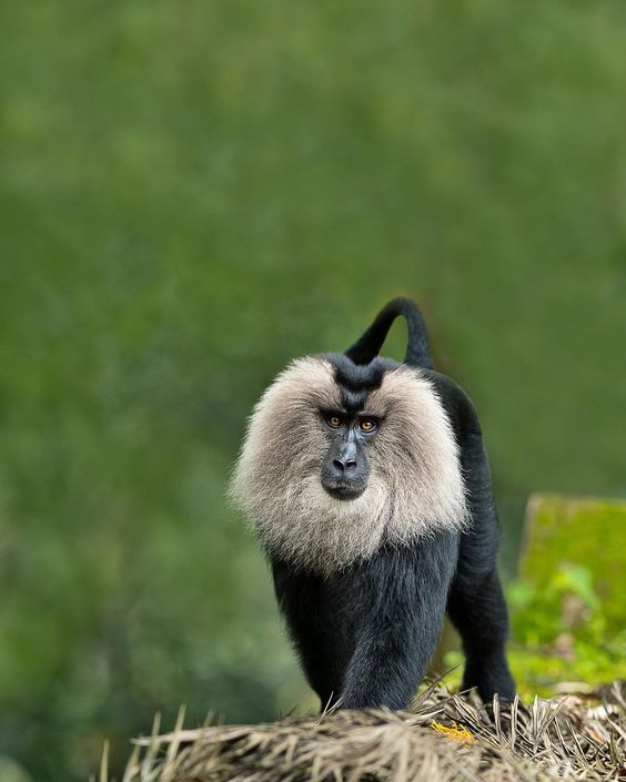 5) Consider the following statements: